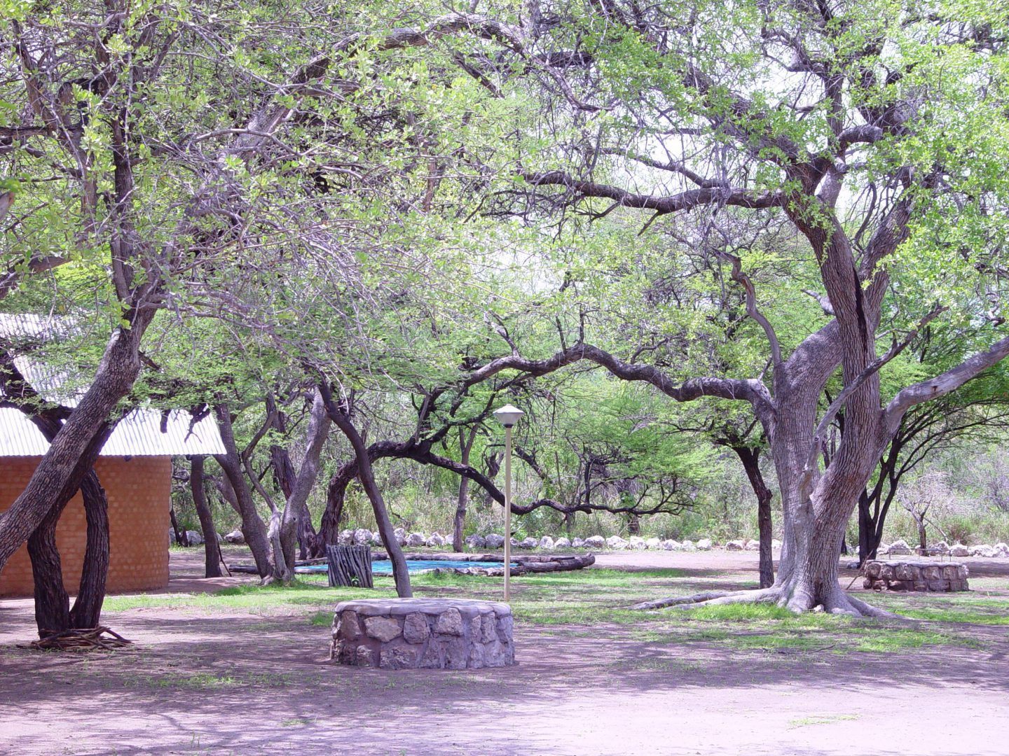 Onguma Leadwood Campsite - Etosha National Park - Self drive Namibië ...